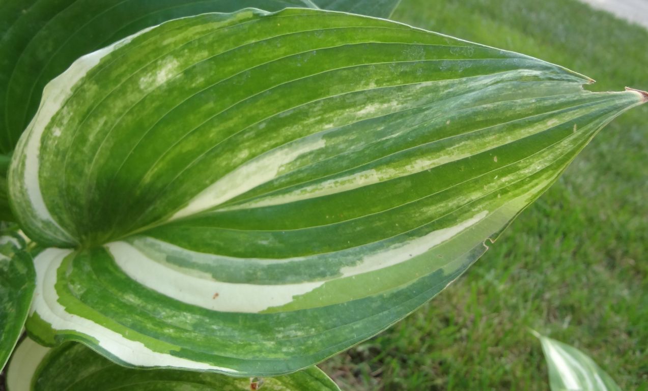 Audra Wilson 9/17/2012